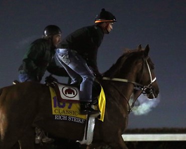 Rich Strike - Horse Profile - BloodHorse