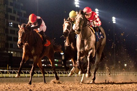 Renegade Rebel - Horse Profile - BloodHorse