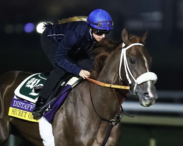 Secret Oath - Horse Profile - BloodHorse