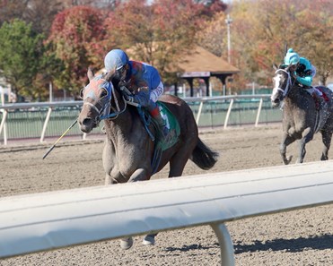 Gold Medal Anna - Horse Profile - BloodHorse