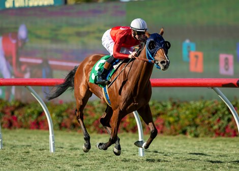 Bellstreet Bridie Brings Staying Power to American Oaks - BloodHorse