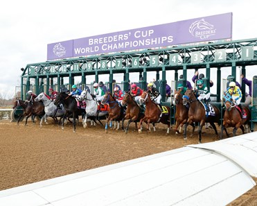 Goodnight Olive - Horse Profile - BloodHorse