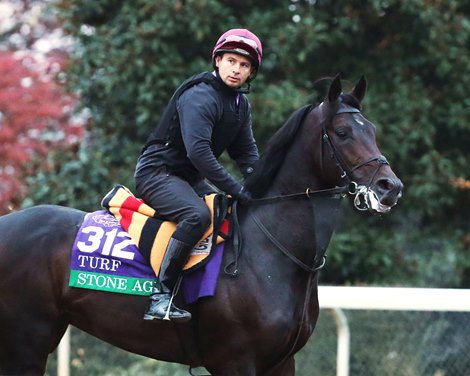 At a Glance: BC Turf Berth at Stake in Sword Dancer - BloodHorse