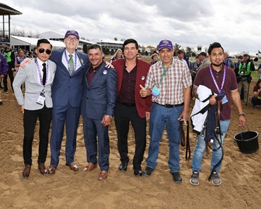 Goodnight Olive - Horse Profile - BloodHorse