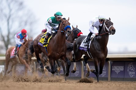 Flightline - Slideshow - BloodHorse