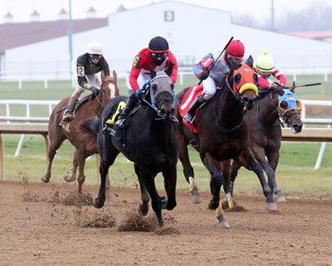 Blushing Belle - Horse Profile - BloodHorse