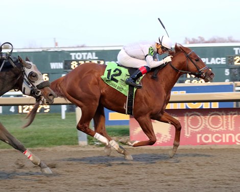 29 State-Bred Pennsylvania Stakes Announced for 2023 - BloodHorse