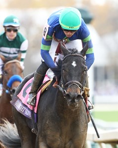 Goodnight Olive - Horse Profile - BloodHorse