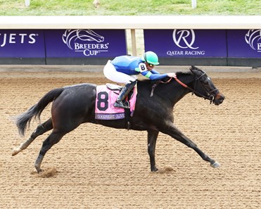 Goodnight Olive - Horse Profile - BloodHorse