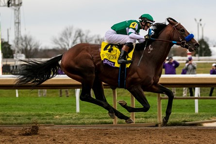 Flightline - Horse Profile - BloodHorse