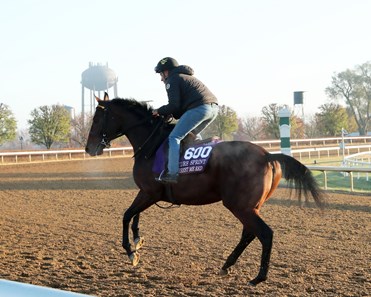 Arrest Me Red - Horse Profile - BloodHorse