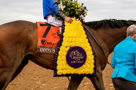 Curlin - Horse Profile - BloodHorse