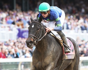 Goodnight Olive - Horse Profile - BloodHorse