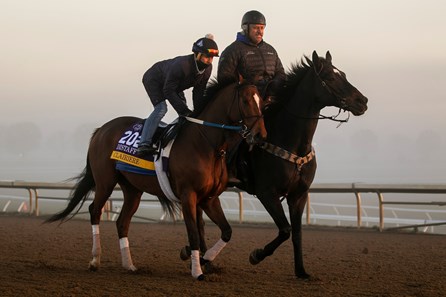 Curlin - Horse Profile - BloodHorse