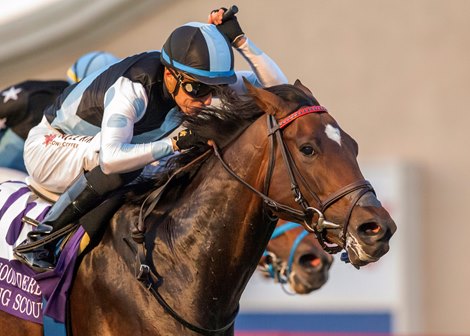 Speaking Scout New Eclipse Poster Boy After G1 Win - BloodHorse