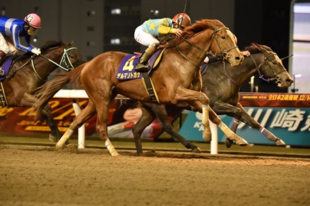 Derma Sotogake (JPN) - Horse Profile - BloodHorse