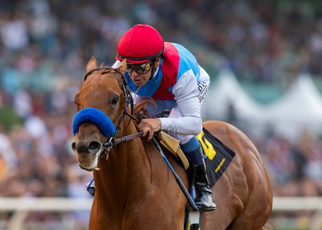 Taiba Headlines 2022 Maiden Watch Winners - BloodHorse