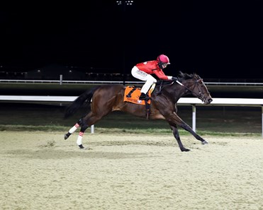 Mighty Madison - Horse Profile - BloodHorse