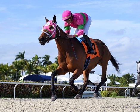 Listed Status for Via Borghese Reinstated After Review - BloodHorse