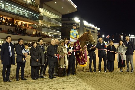 Derma Sotogake (JPN) - Horse Profile - BloodHorse