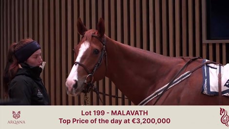 Arqana Breeding Stock Sale Day 1 - Video - - BloodHorse