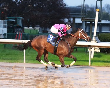 Lovely Ride - Horse Profile - BloodHorse