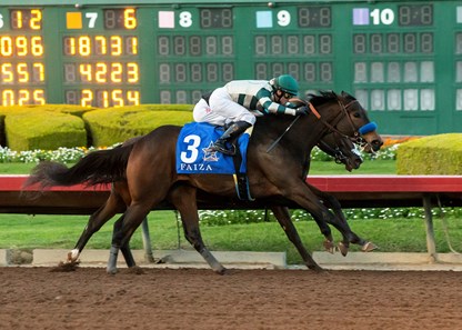 Faiza - Horse Profile - BloodHorse