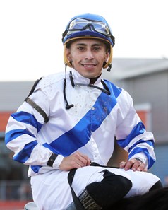 Count de Monet - Horse Profile - BloodHorse