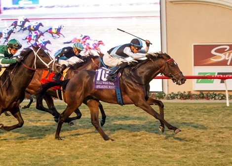 Graded Turf Stakes Highlight 10th Fall Meet at Del Mar - BloodHorse