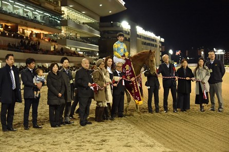 Derma Sotogake (JPN) - Horse Profile - BloodHorse