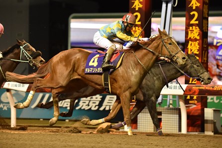 Derma Sotogake (JPN) - Horse Profile - BloodHorse