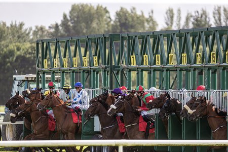 HRI Boosts Irish Prize Money in 2023 Budget - BloodHorse