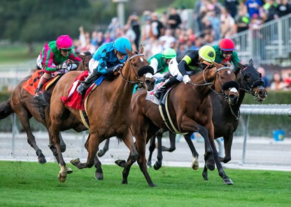 Rhea Moon (IRE) - Horse Profile - BloodHorse