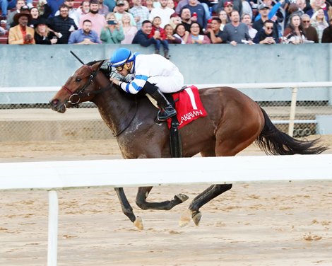 Count de Monet Wins Advent Stakes, Tyler's Tribe Third - BloodHorse