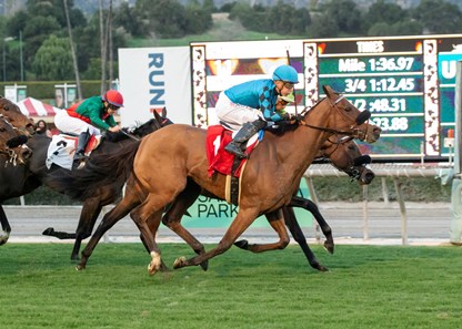 Rhea Moon (IRE) - Horse Profile - BloodHorse