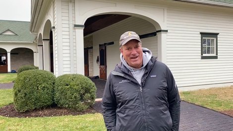 Toothaker Talks Spendthrift Stallions - Video - - BloodHorse