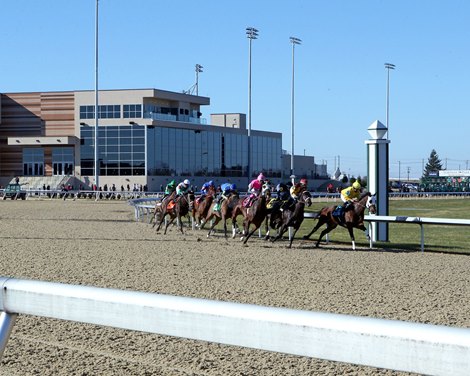 Turfway Park Releases Winter/Spring Stakes Schedule - BloodHorse