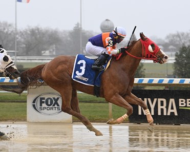 Acalteque - Horse Profile - BloodHorse