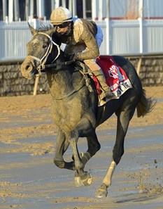 Post Time - Horse Profile - BloodHorse