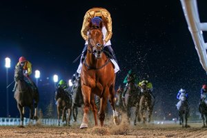 Global Thoroughbred Horse Racing Previews, Recaps, Video, and ...