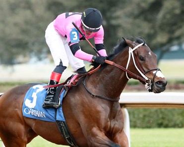 Lovely Ride - Horse Profile - BloodHorse