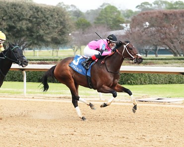 Lovely Ride - Horse Profile - BloodHorse