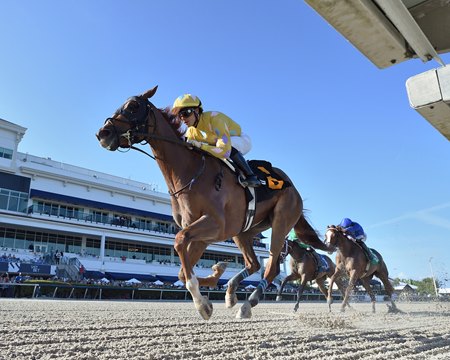 Infinite Diamond Sparkles in $100,000 Cash Run Stakes - BloodHorse