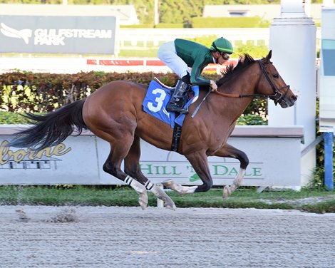 Cyclone Mischief the One to Catch in Holy Bull - BloodHorse