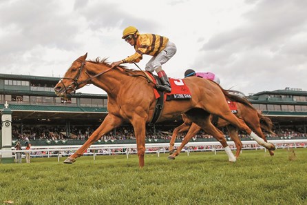 Wise Dan - Horse Profile - BloodHorse