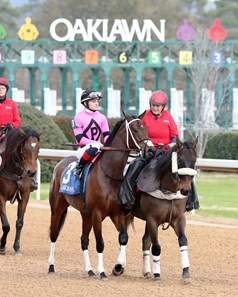Lovely Ride - Horse Profile - BloodHorse