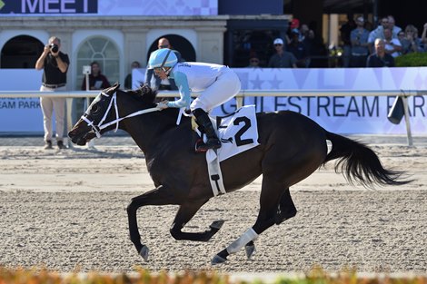 Super Chow Aims for Fifth Win in a Row in Swale Stakes - BloodHorse