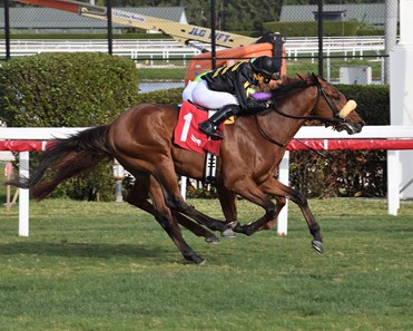Far Bridge - Horse Profile - BloodHorse