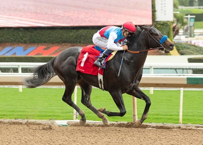 Hejazi - Horse Profile - BloodHorse