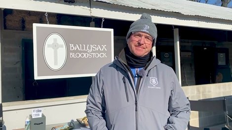 McEntee on Ballysax Bloodstock's Keeneland Consignment - Video ...